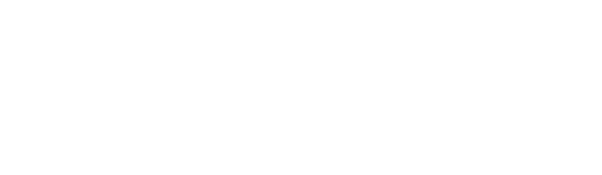 BAYOU PHOENIX – Expanded Development Project Plan