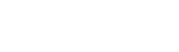 BAYOU PHOENIX – Expanded Development Project Plan