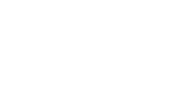 BAYOU PHOENIX – Expanded Development Project Plan